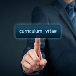 Professional Academic CV Template